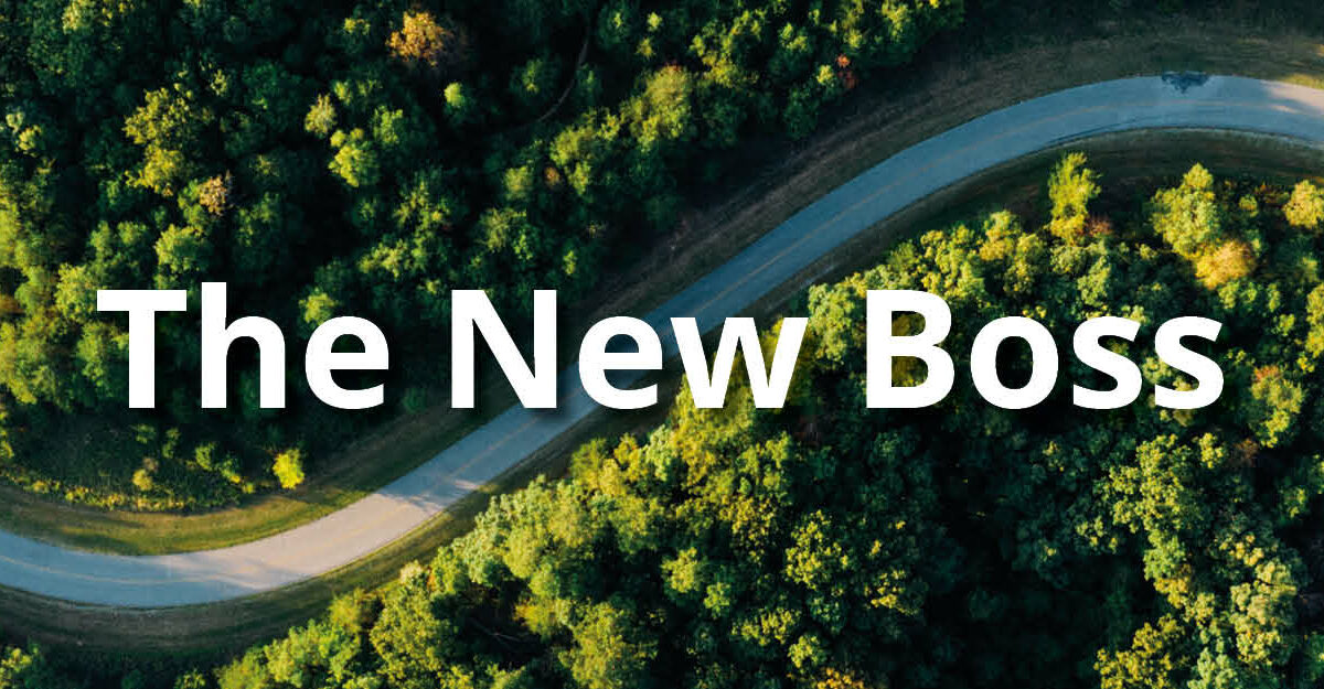 The New Boss – Handelskammaren