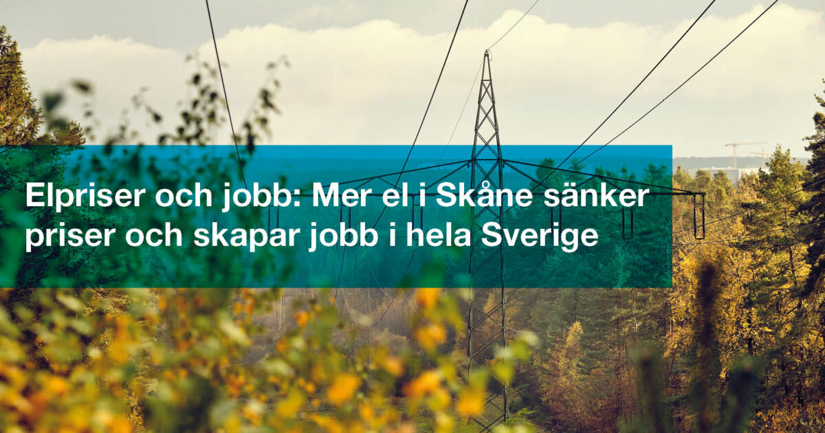 Mer skånsk el ger 190 000 jobb i hela Sverige – Handelskammaren